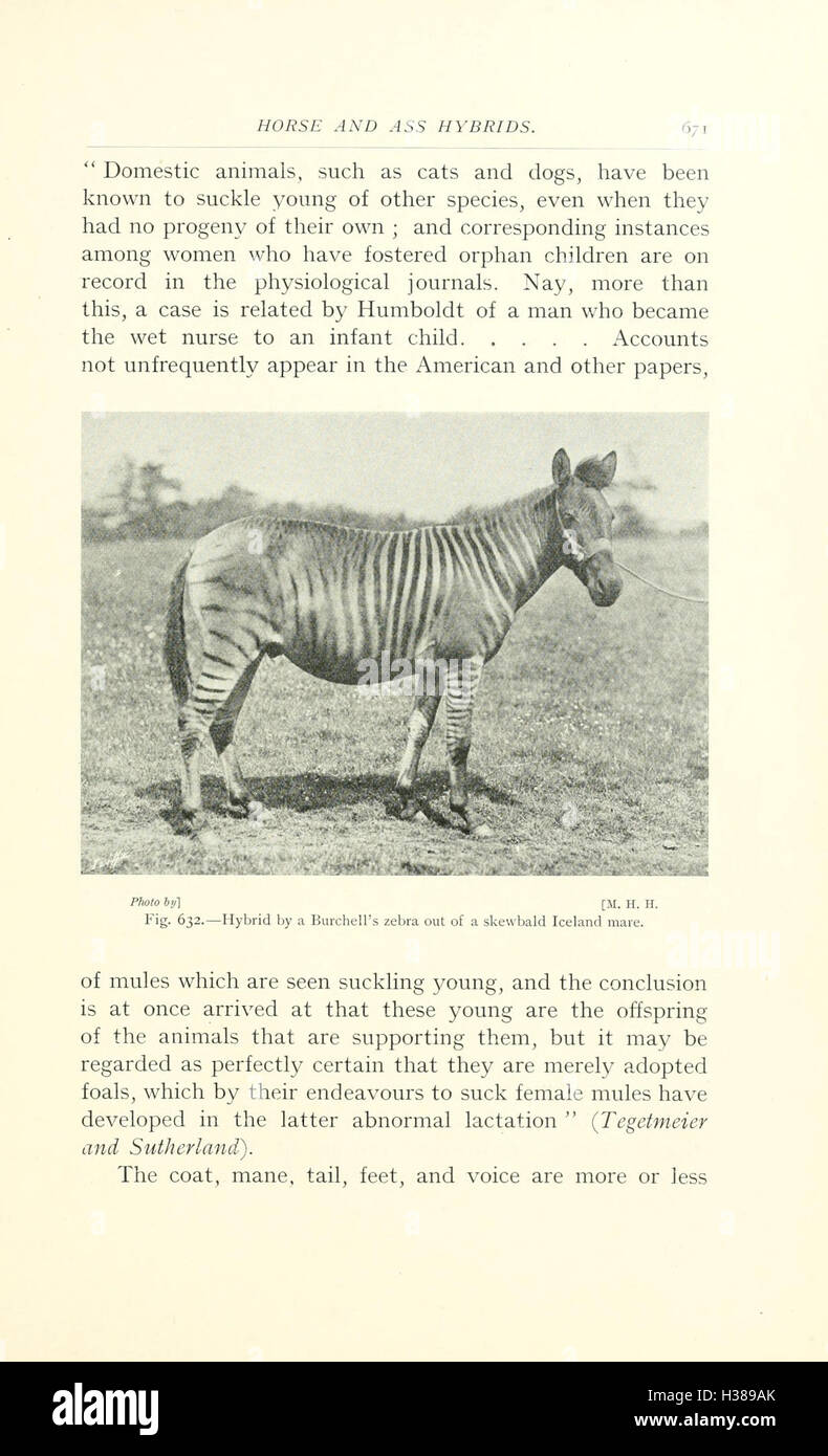 This work provides a detailed guide to the key anatomical points of the ...