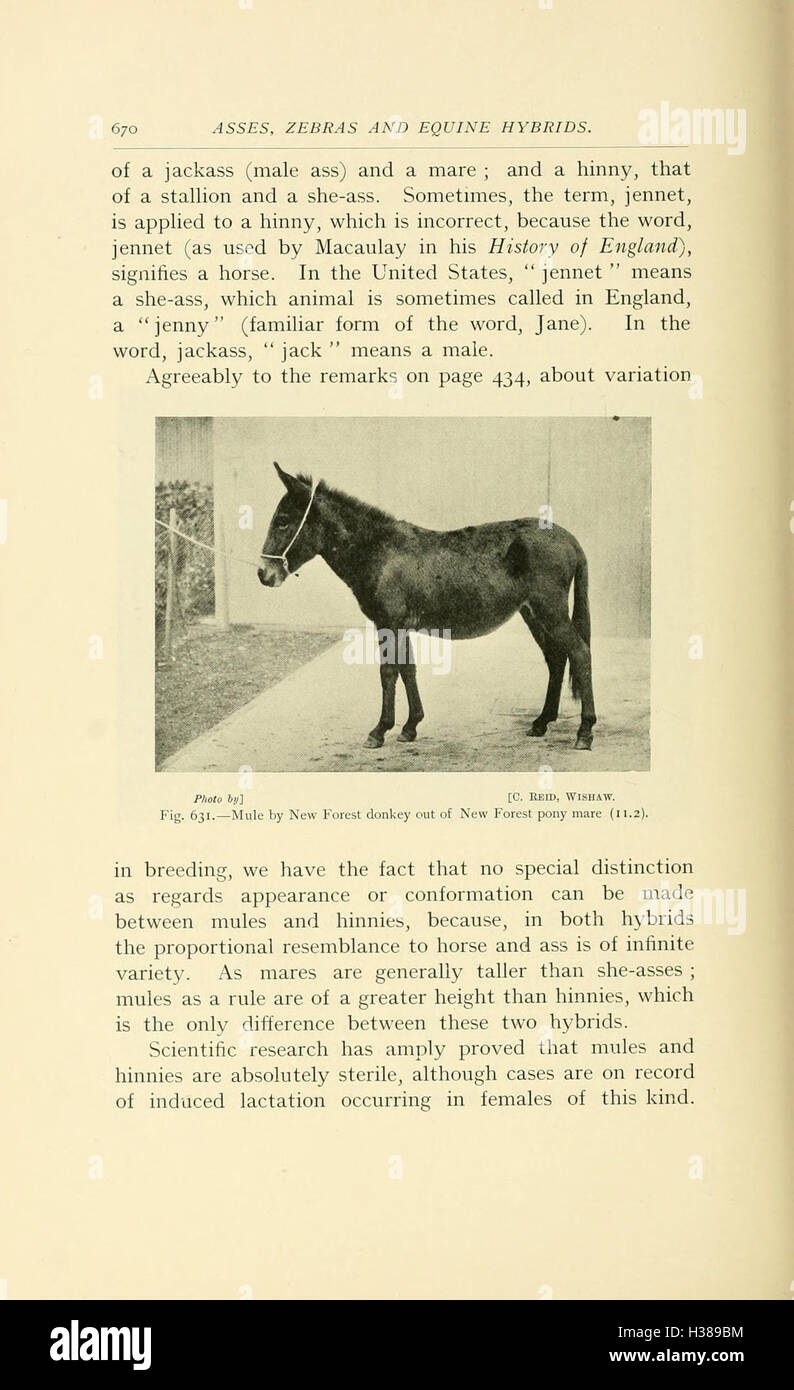 An informative reference work focused on the key anatomical points and ...