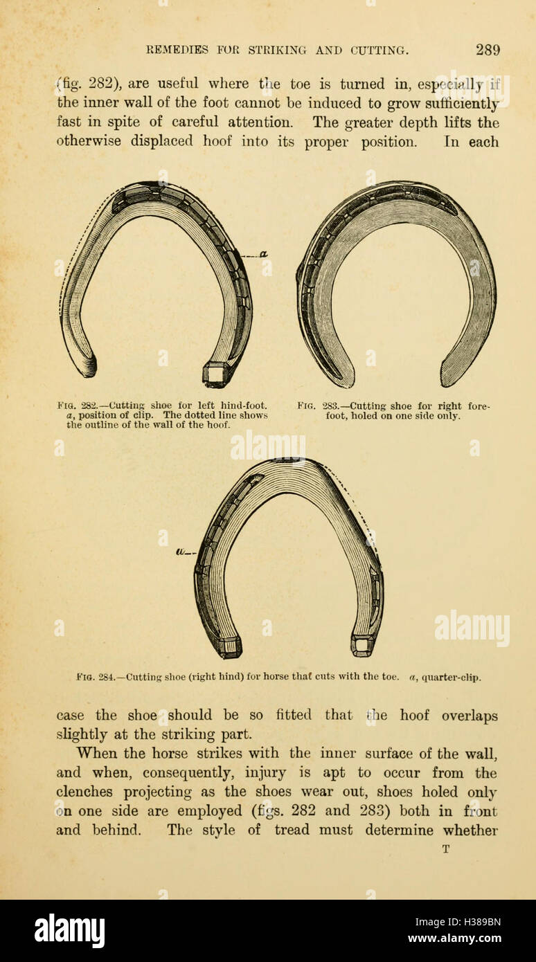 This handbook provides practical guidance on the art of horse-shoeing ...