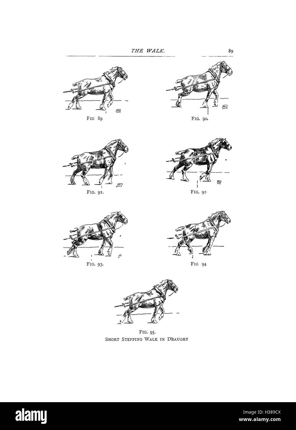 An informative guide to understanding the key anatomical features and ...