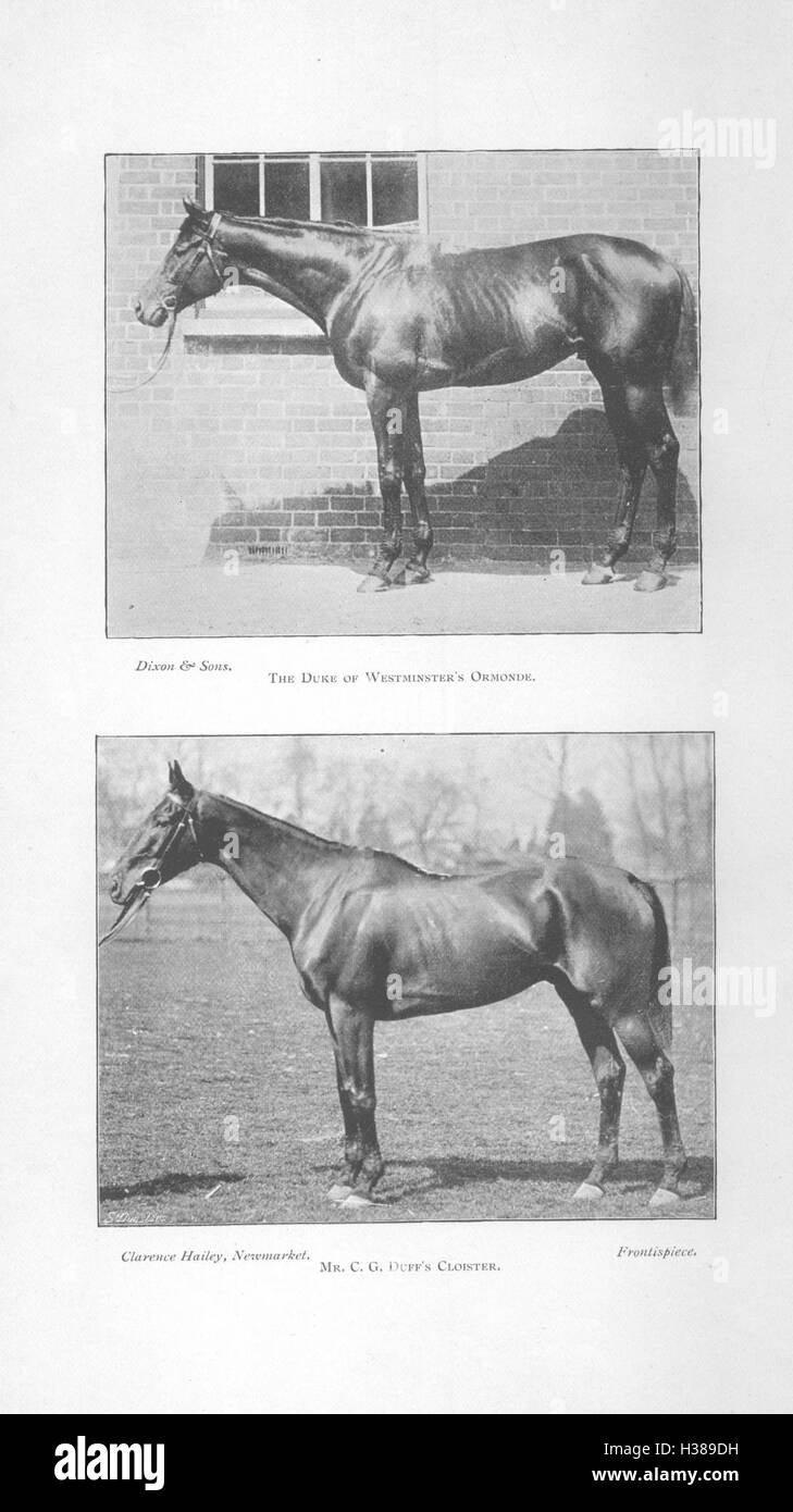 'Points of the Horse' describes the key anatomical features and ...