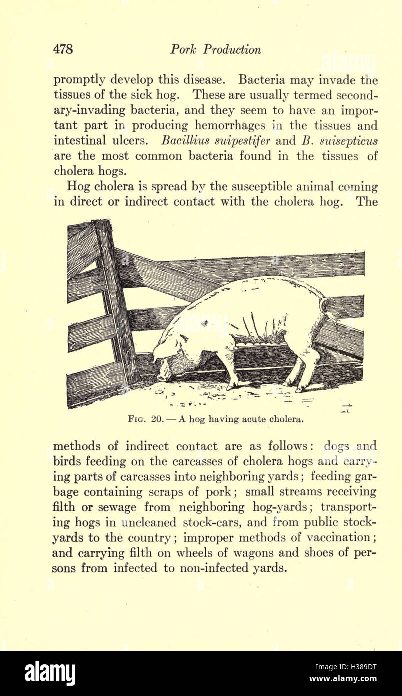 This text explores the processes and methods involved in pork ...