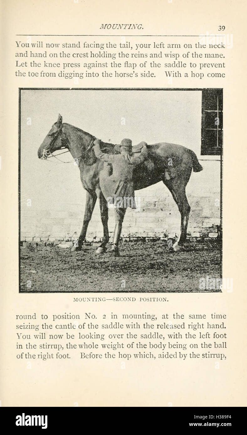 Practical horsemanship provides guidance on horse riding techniques ...