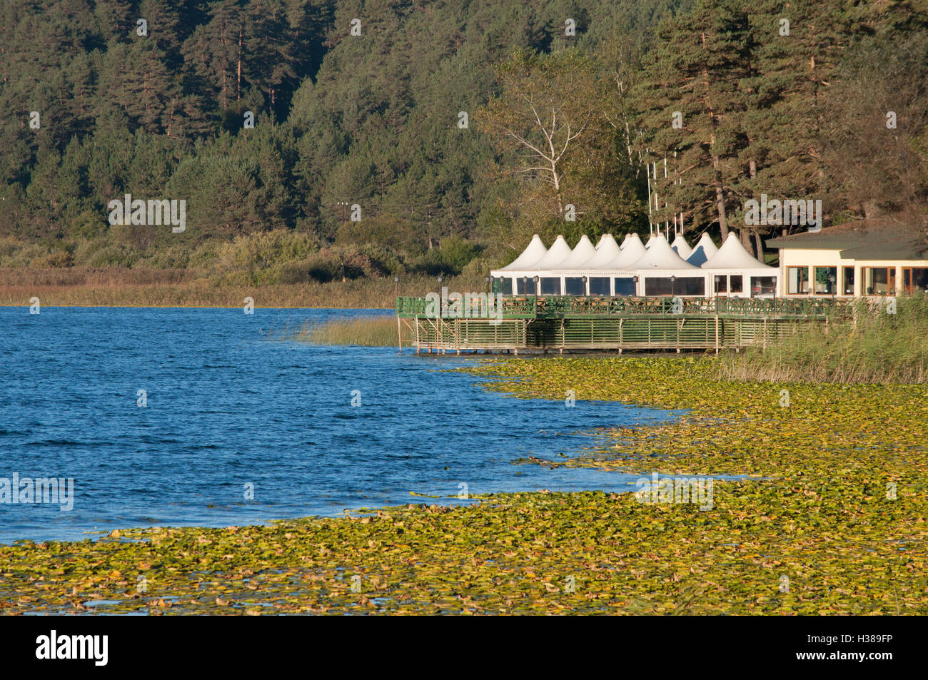 Lake landscape with building on shore Stock Photo - Alamy