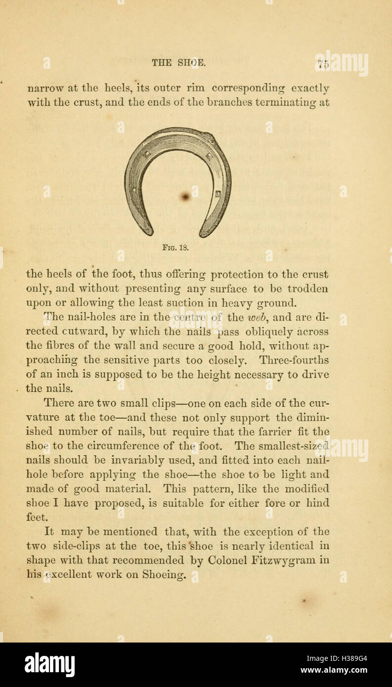 This guide offers practical techniques for horseshoeing, including hoof ...