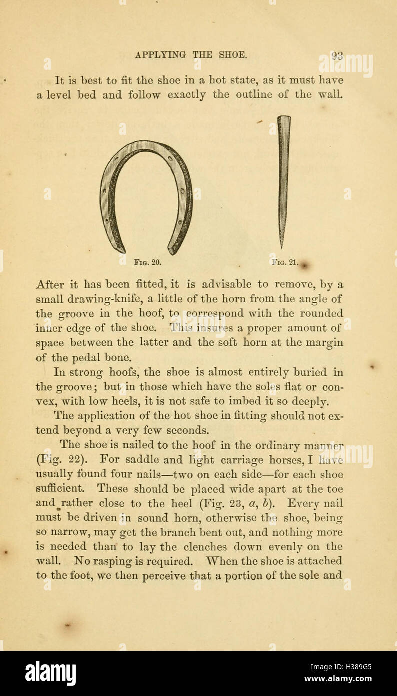 A practical guide to the art of horseshoeing, covering techniques for ...