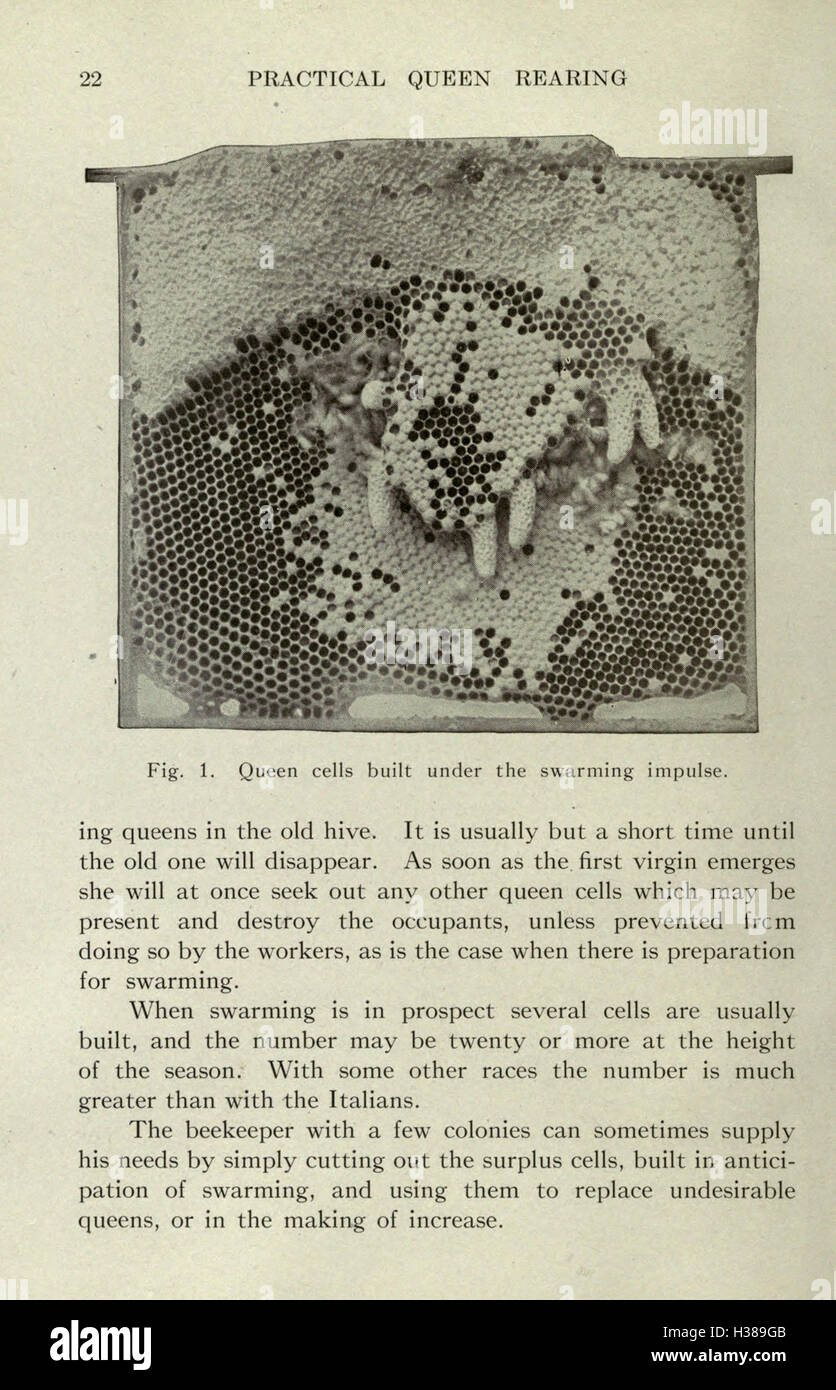 This book offers practical guidance on the process of rearing queen ...