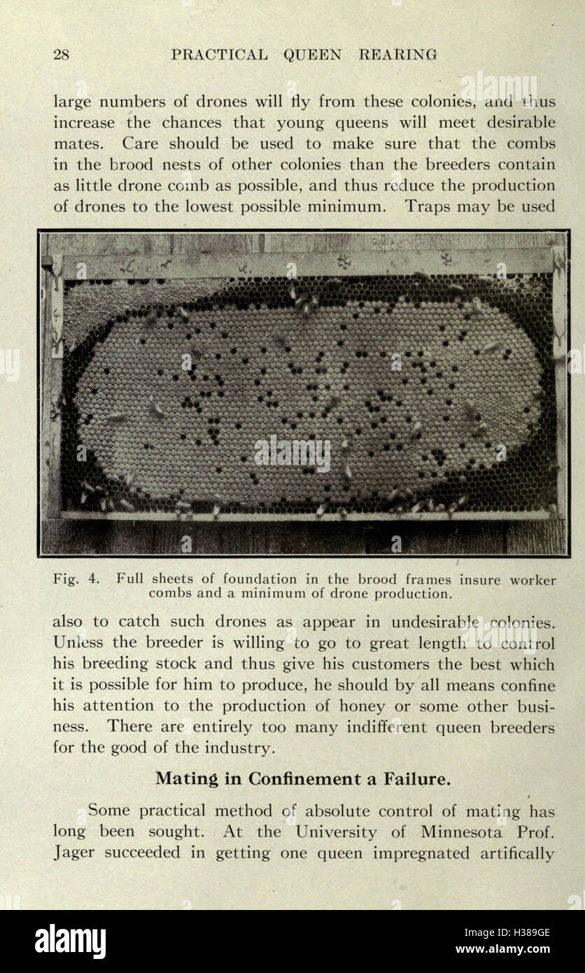 A practical guide on queen bee rearing, focusing on techniques for ...