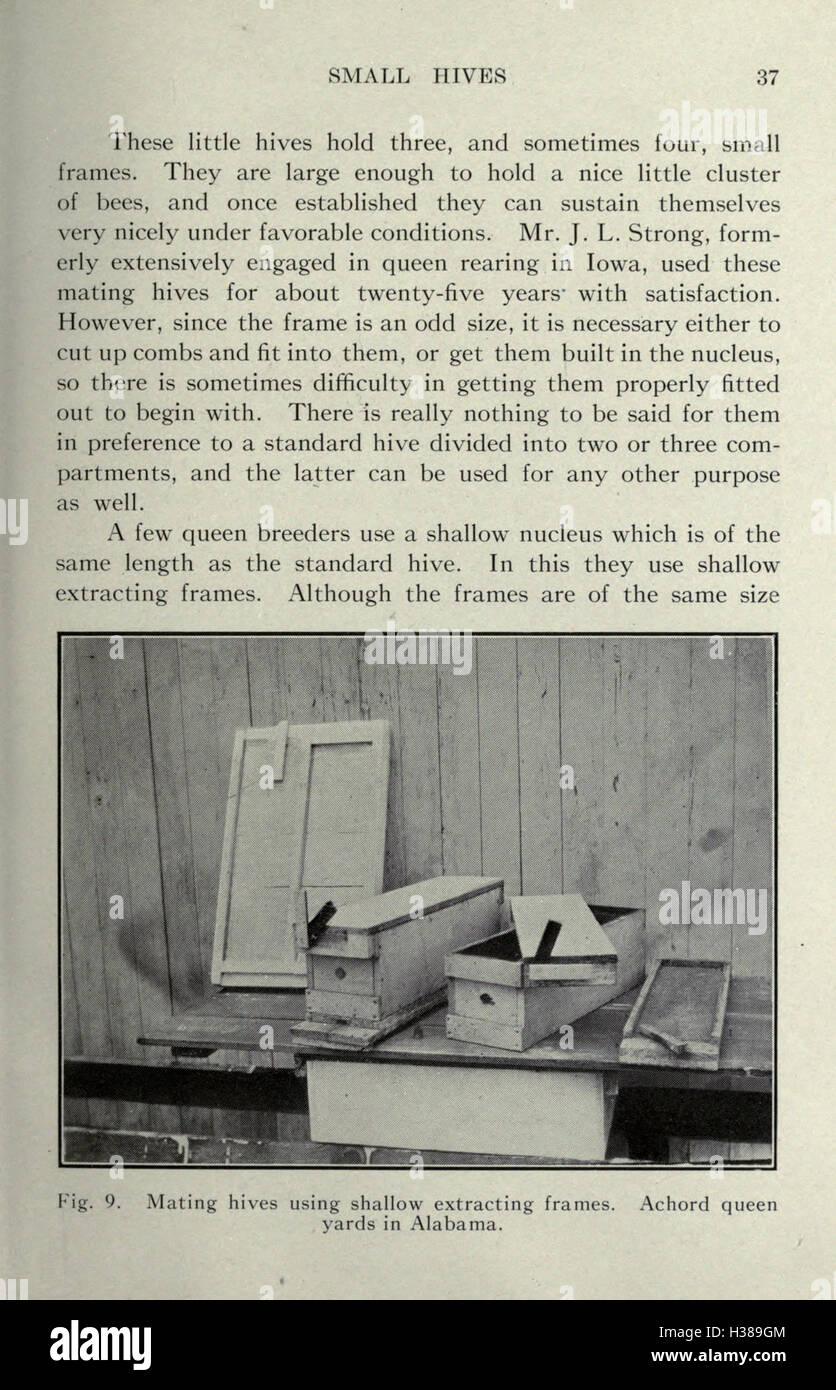 This guide provides practical advice on rearing queen bees, focusing on ...