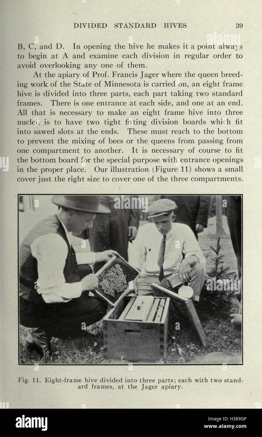 Practical queen rearing (Page 39) BHL232 Stock Photo - Alamy