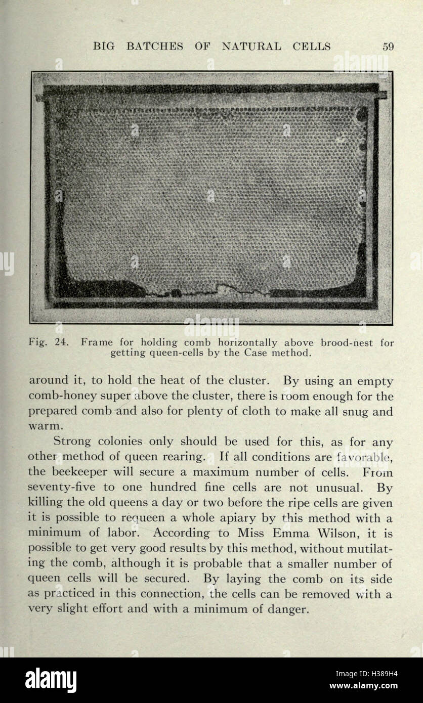 This guide provides methods for the breeding and care of queen bees ...