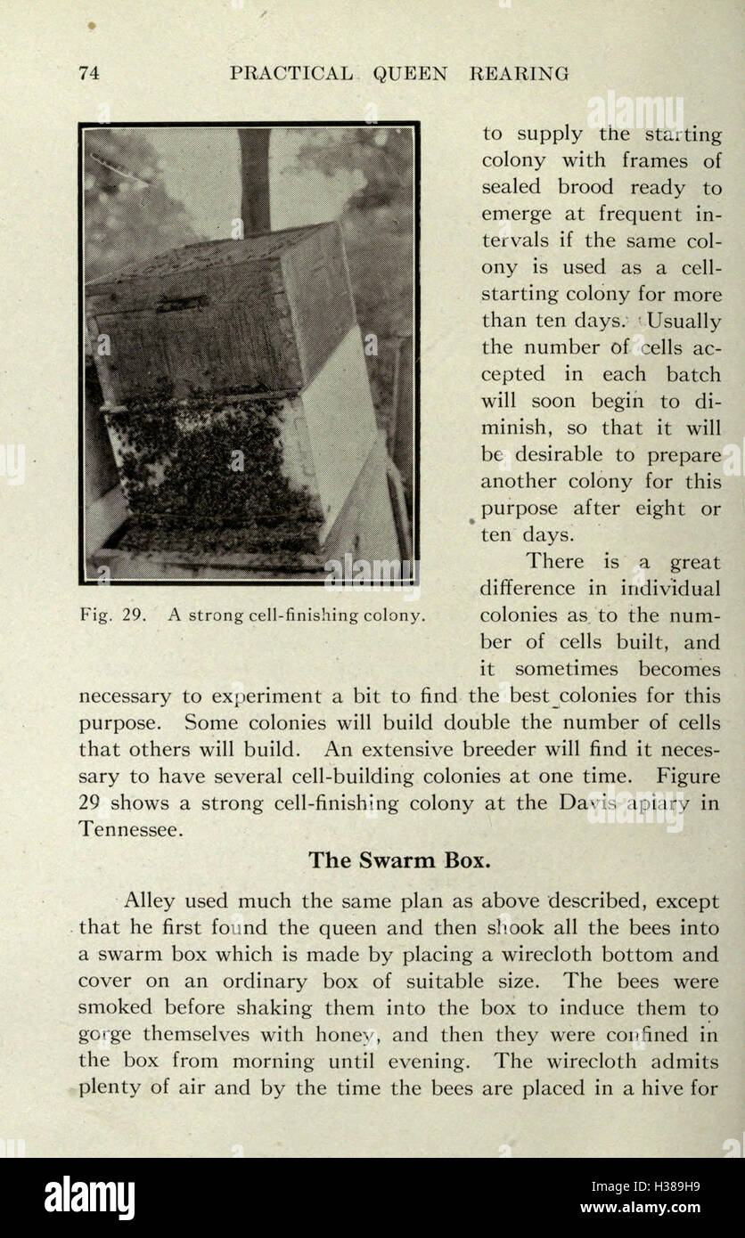 This page discusses the practical aspects of queen rearing in ...