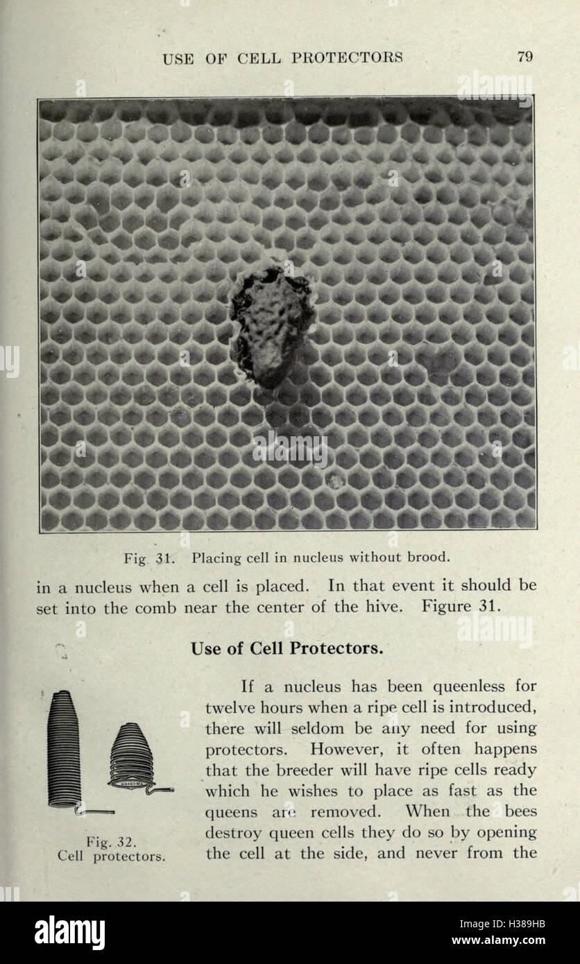 This guide provides practical instructions for rearing queen bees ...