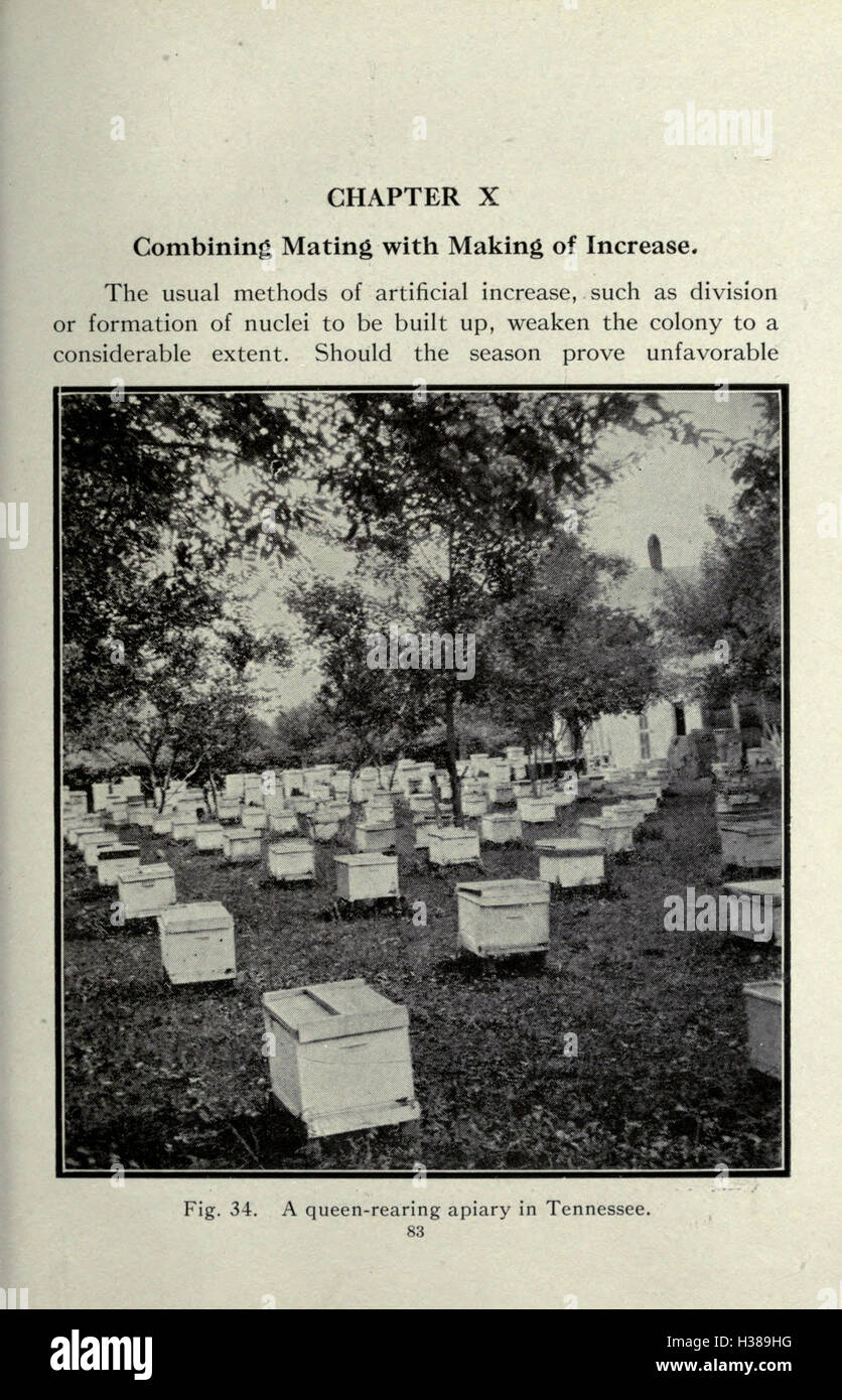 This guide provides detailed instructions on raising queen bees ...