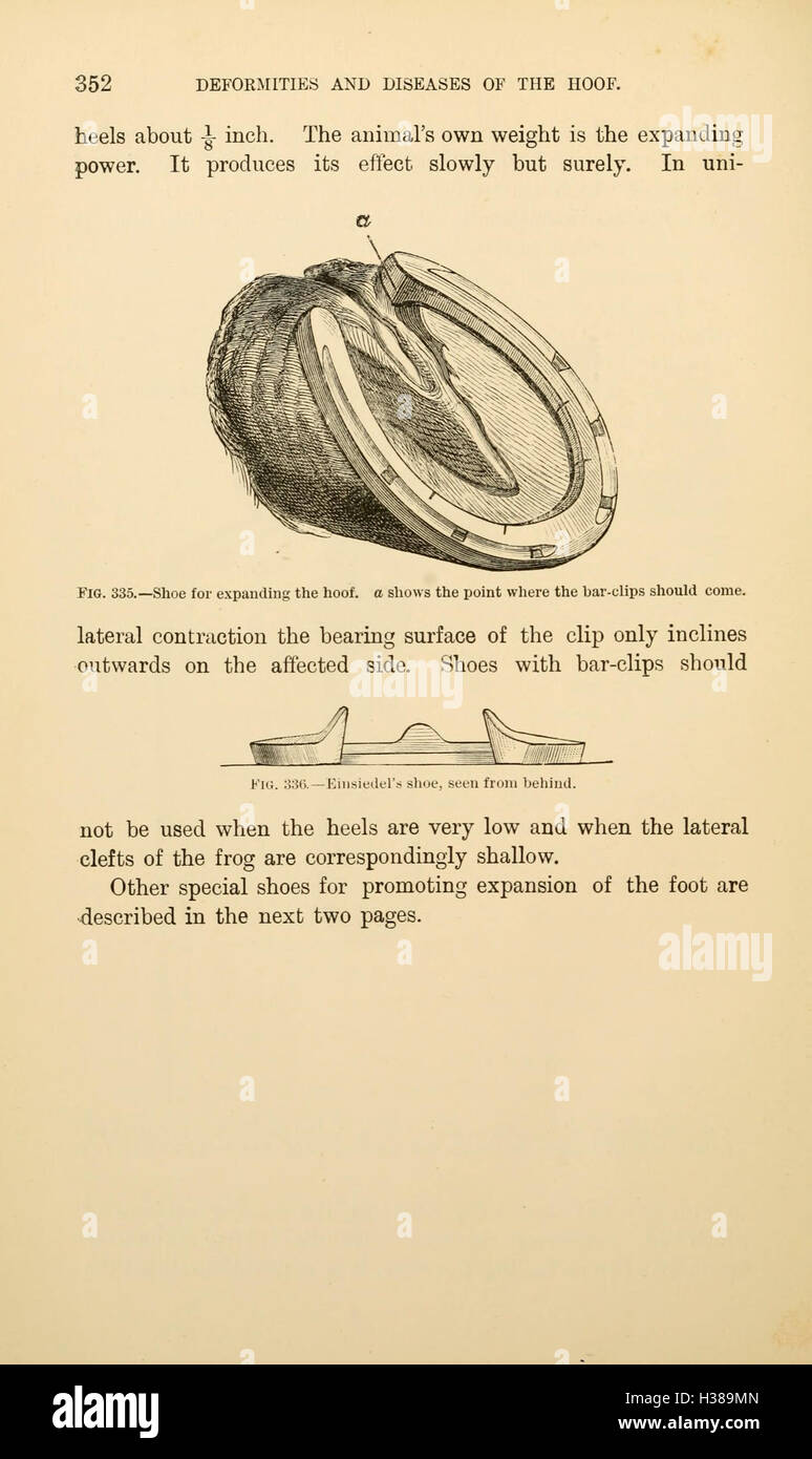 This guide provides a thorough examination of horse-shoeing techniques ...