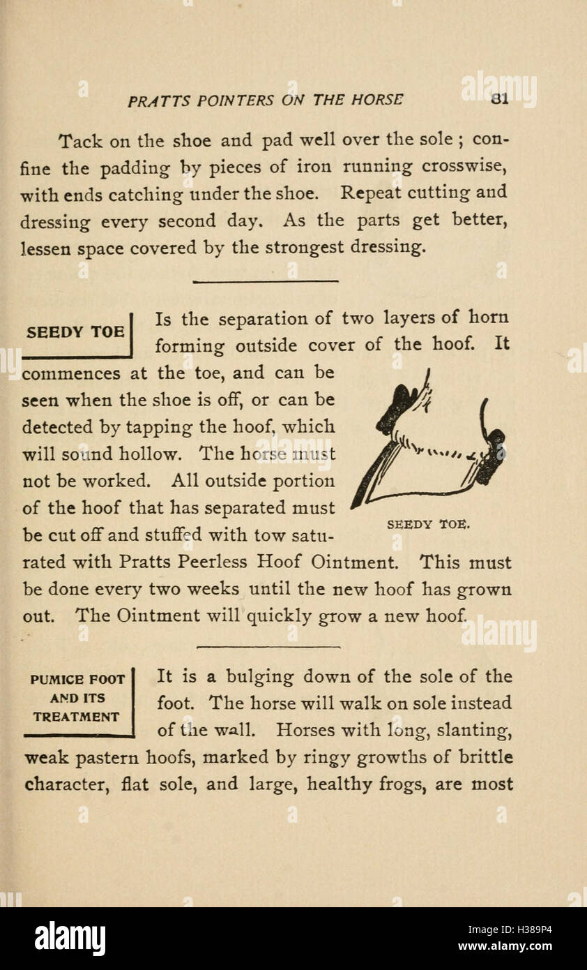 This guide offers practical advice on horse care, focusing on breeding ...