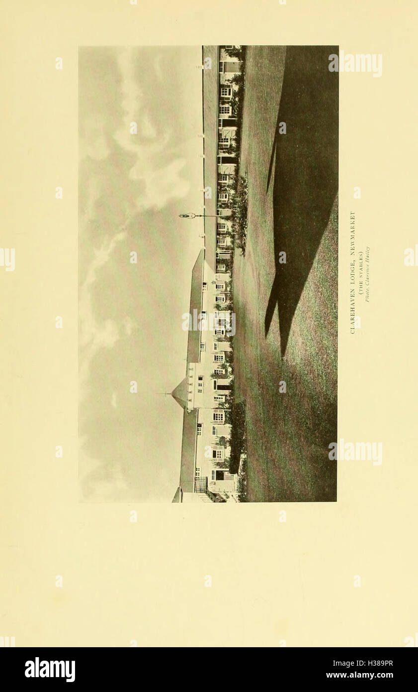 Polly page hi-res stock photography and images - Alamy