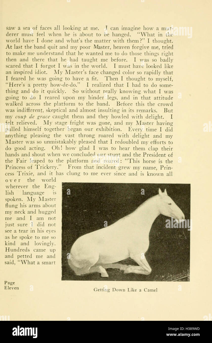 This text details the story of Princess Trixie, focusing on her role ...
