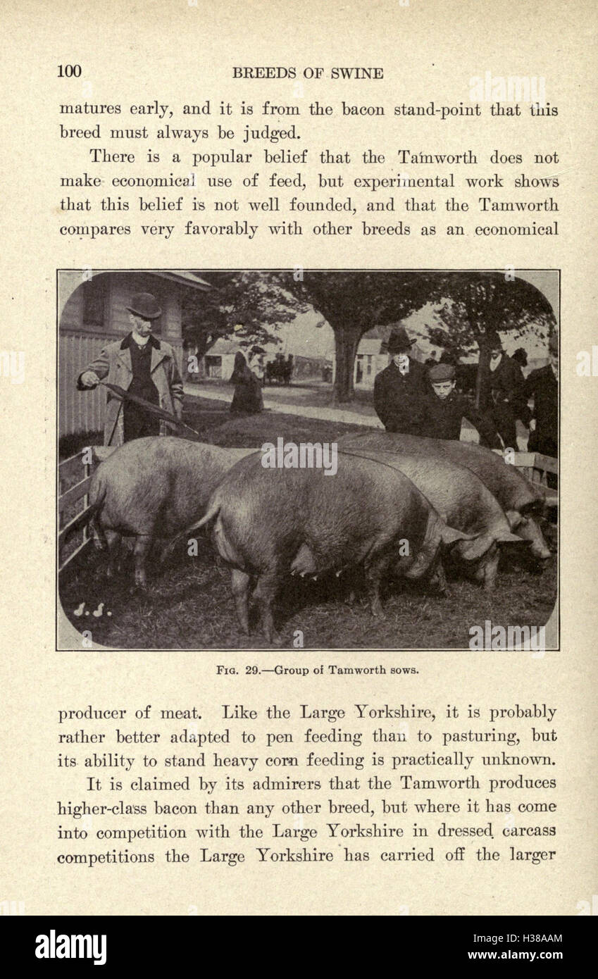 The section explores effective methods for swine husbandry, focusing on ...