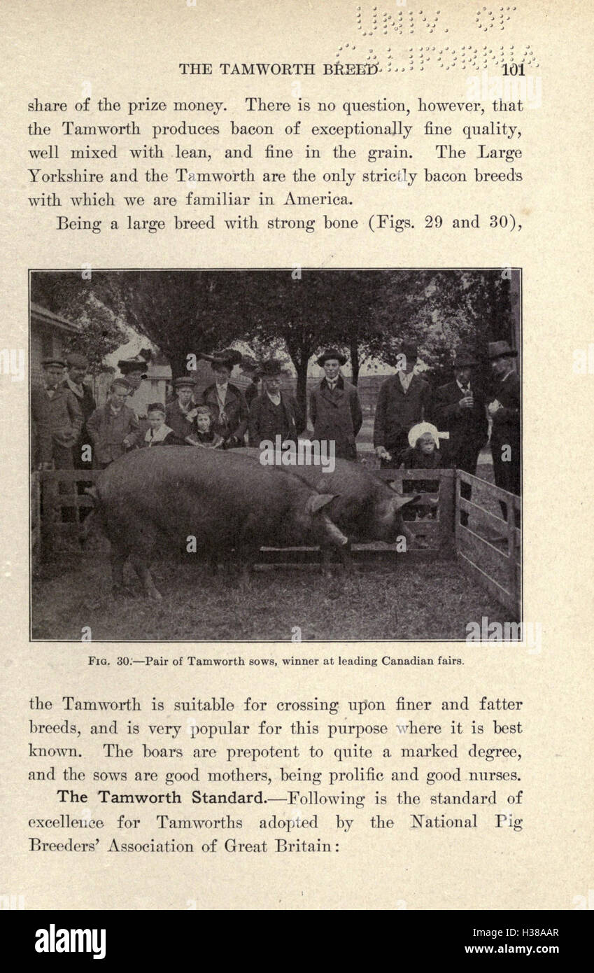 This text covers effective practices for swine husbandry, focusing on ...