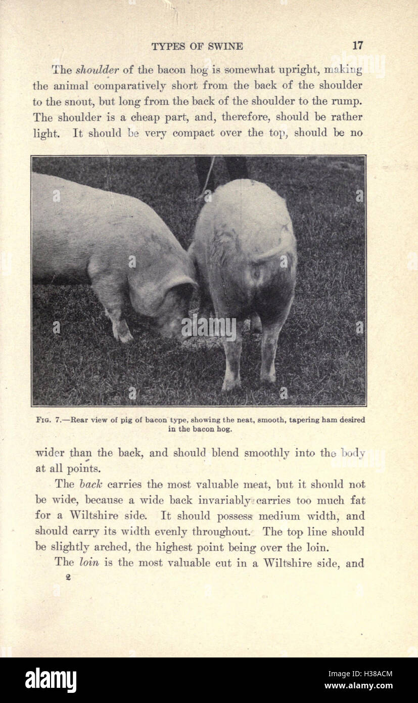 This guide covers the practices of swine husbandry, focusing on ...