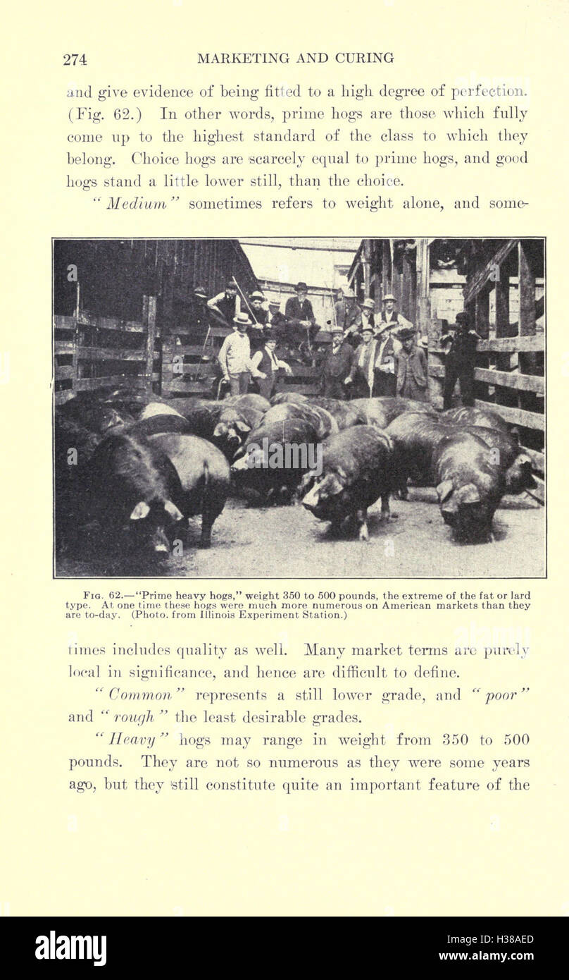 A comprehensive overview of effective swine farming practices ...