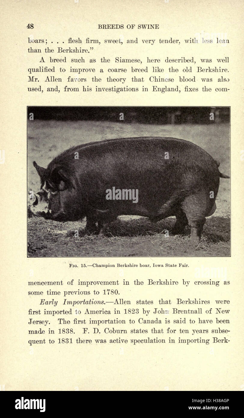 A practical guide on the effective care, breeding, and management of ...