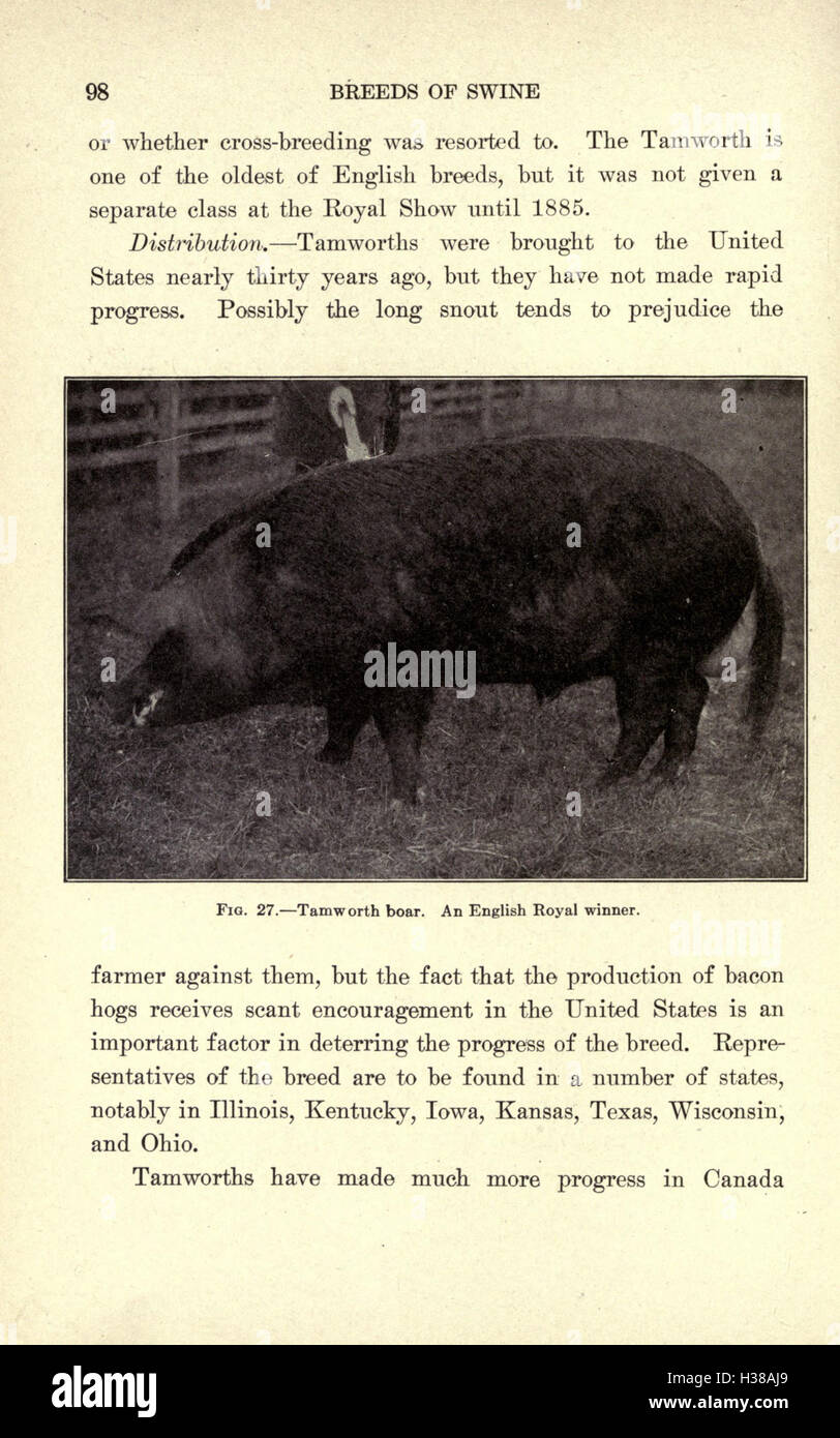 This guide focuses on the productive management of swine, providing ...