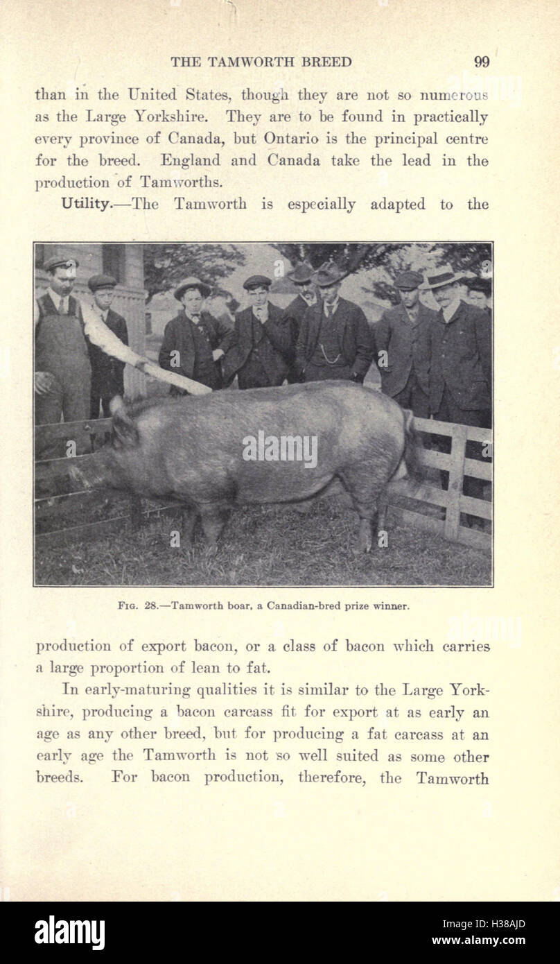 This work covers techniques for efficient and sustainable pig farming ...