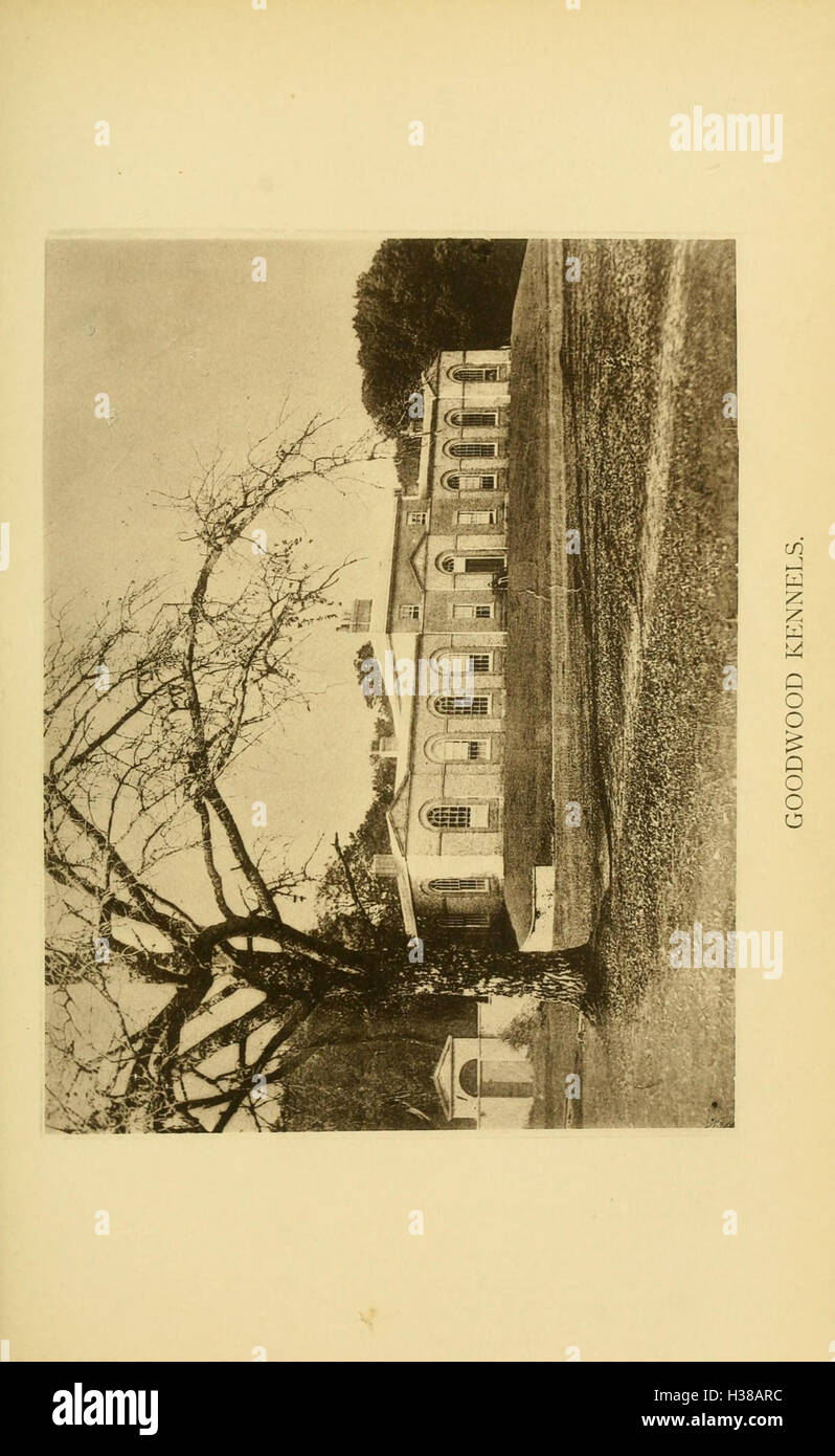 Lord george cavendish bentinck hi-res stock photography and images - Alamy