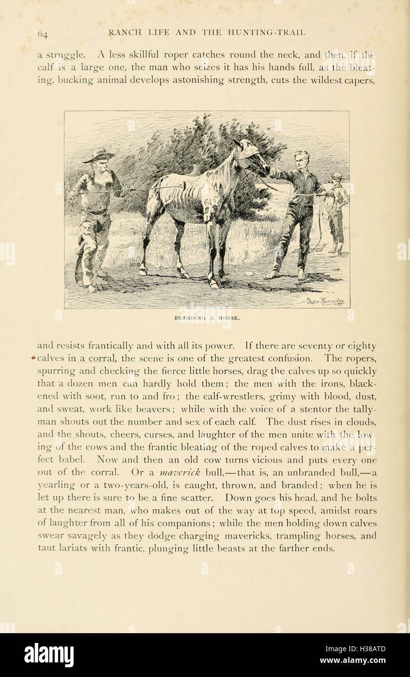 This book highlights life on a ranch, covering daily activities, cattle ...