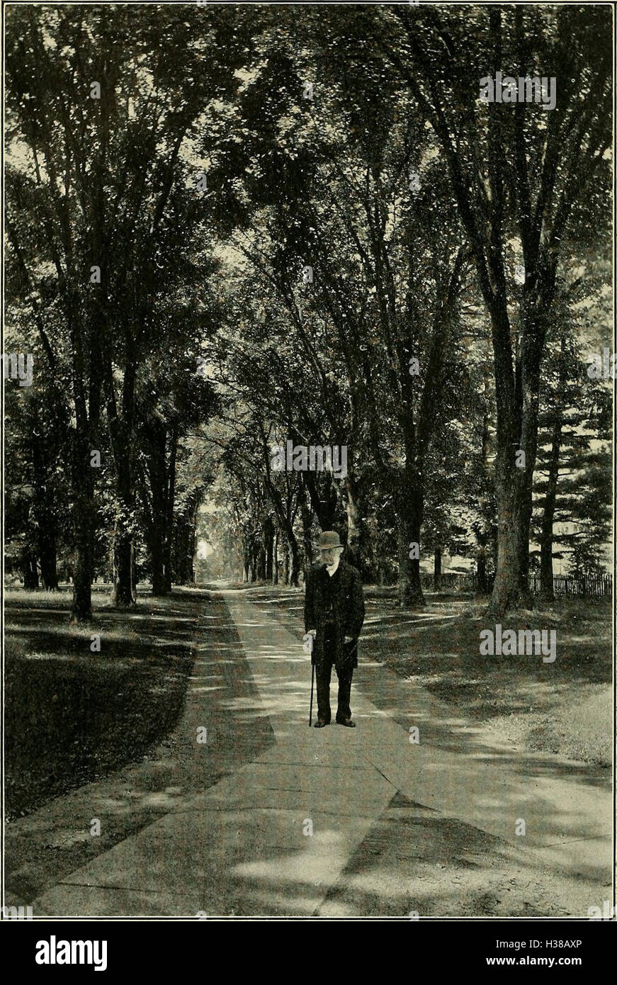 Historical society of princeton hi-res stock photography and images - Alamy