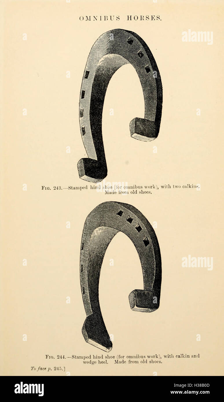 This handbook covers the practical aspects of horseshoeing, providing ...