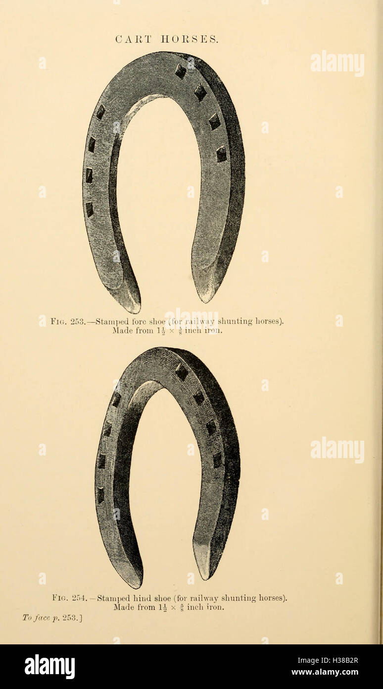 This guide provides a detailed overview of horseshoeing practices ...