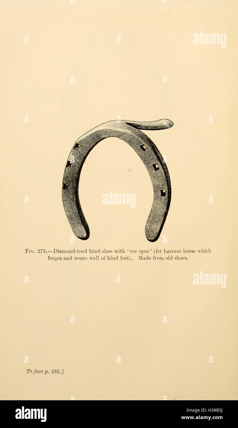 This handbook provides essential techniques and tools for horse-shoeing ...
