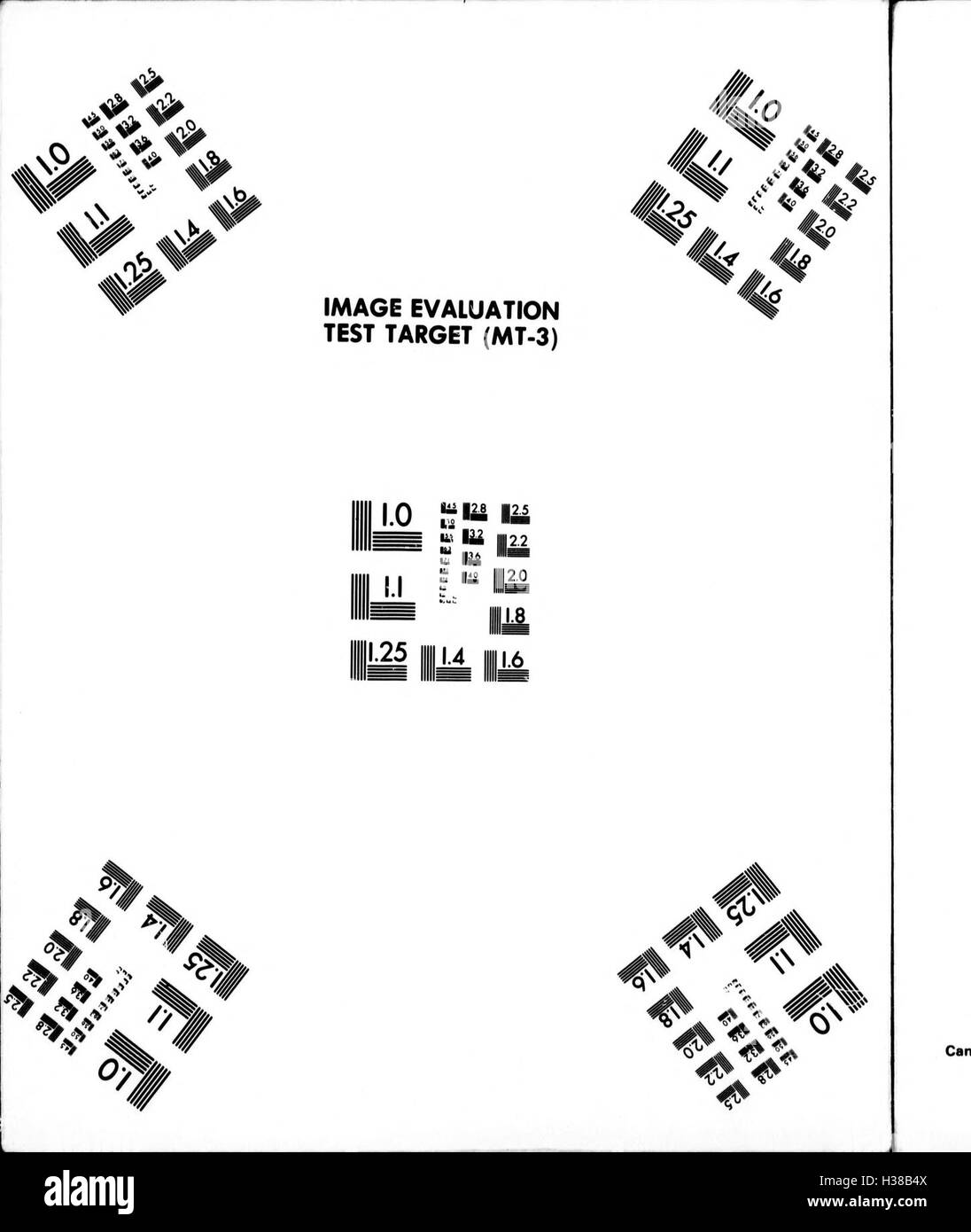 This work focuses on the early life forms from Earth's primordial past ...