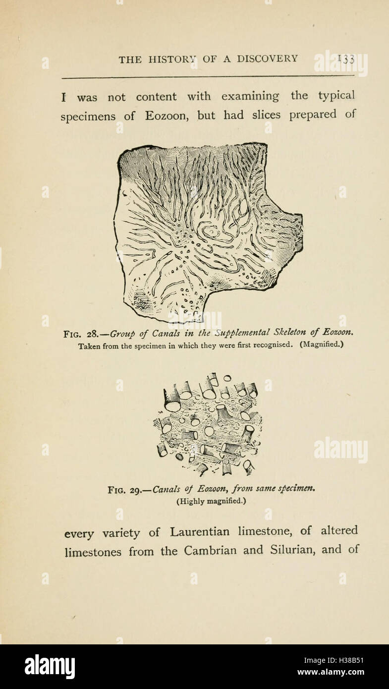 This work discusses ancient fossils and the organic remnants of early ...
