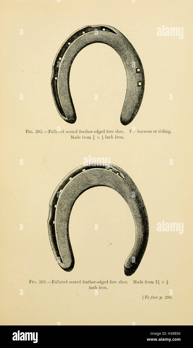 This manual provides essential techniques and guidelines for proper ...