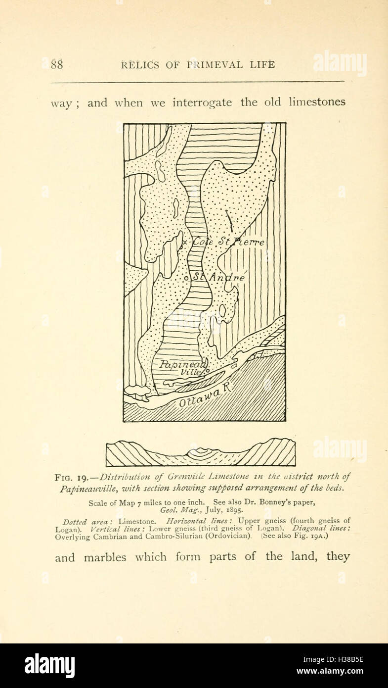 This page explores ancient life forms from the Earth’s primeval past ...