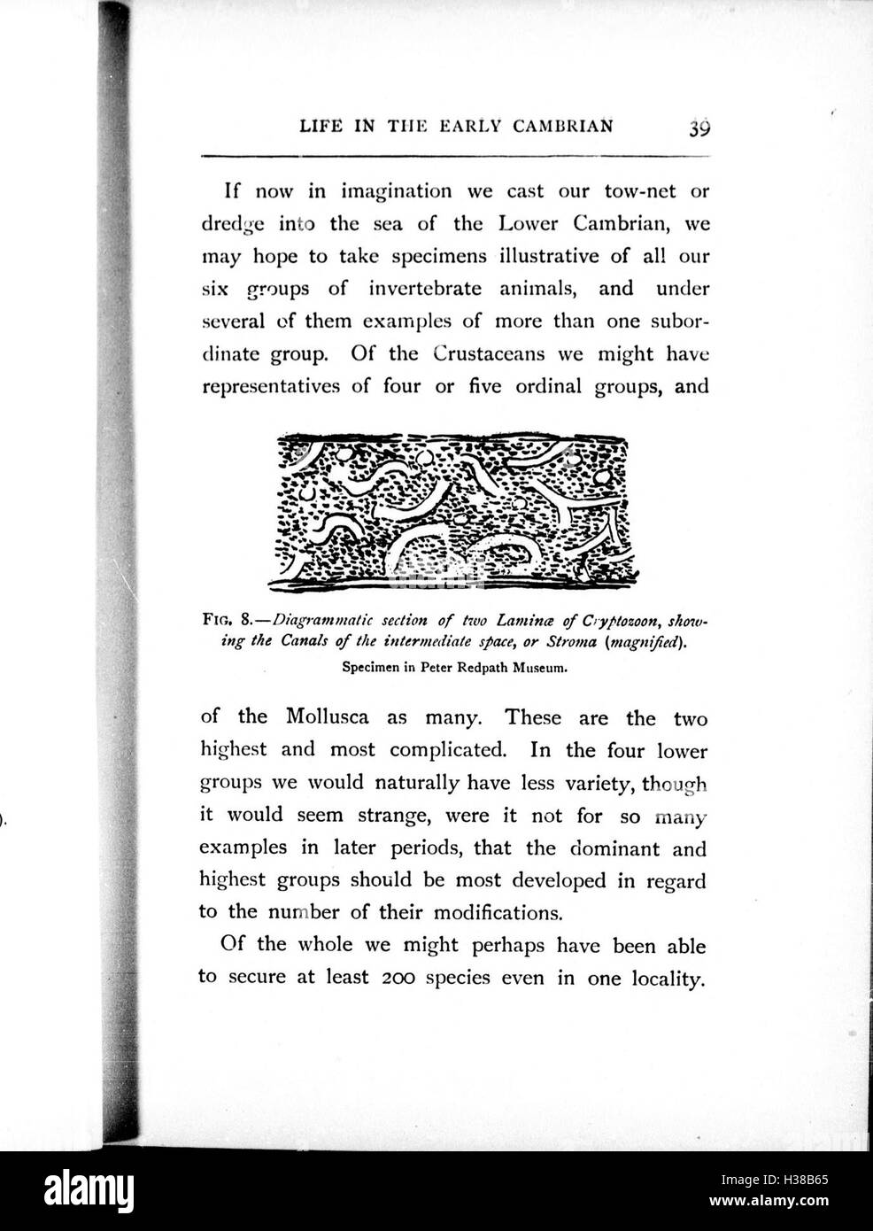 A work discussing remnants of ancient life forms preserved in fossils ...