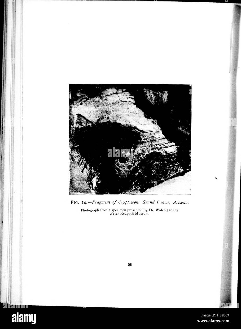 Antique relics Black and White Stock Photos & Images - Alamy