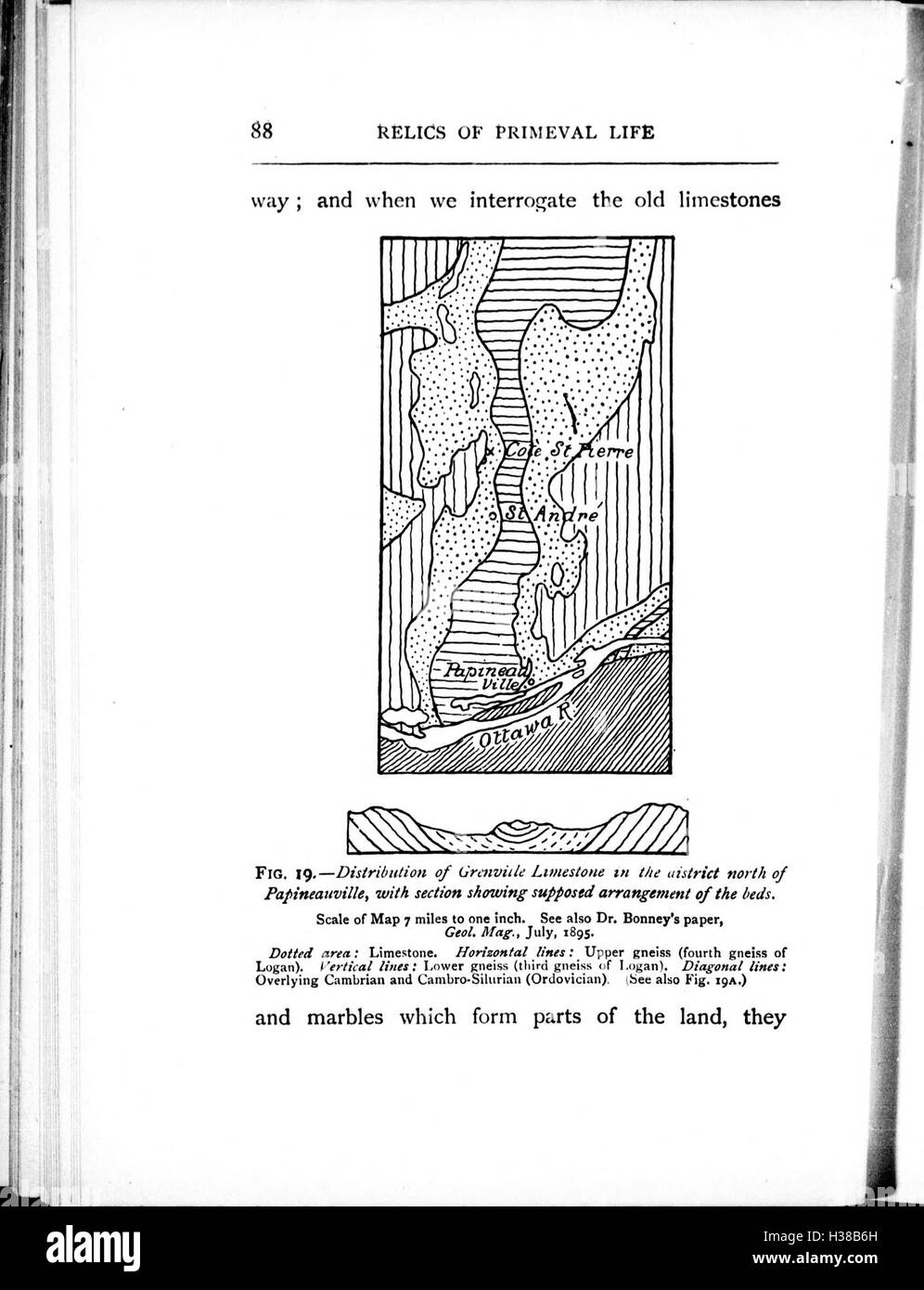 This work explores the remnants of life from the earliest periods of ...