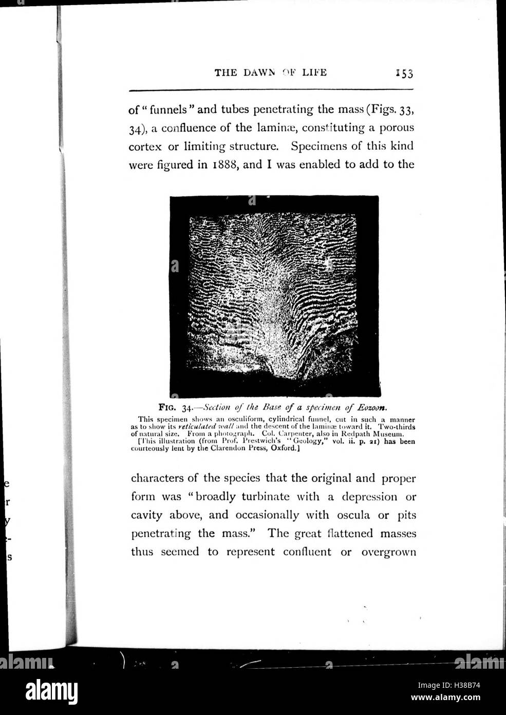 This text explores ancient fossils and life forms that existed in the ...