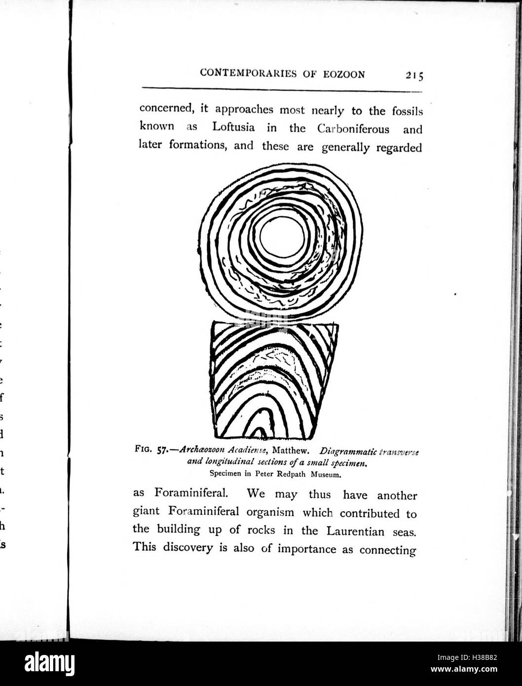 Antique relics Black and White Stock Photos & Images - Alamy