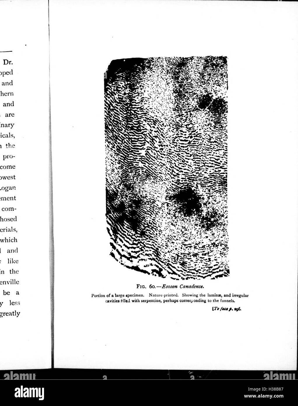 Antique relics Black and White Stock Photos & Images - Alamy