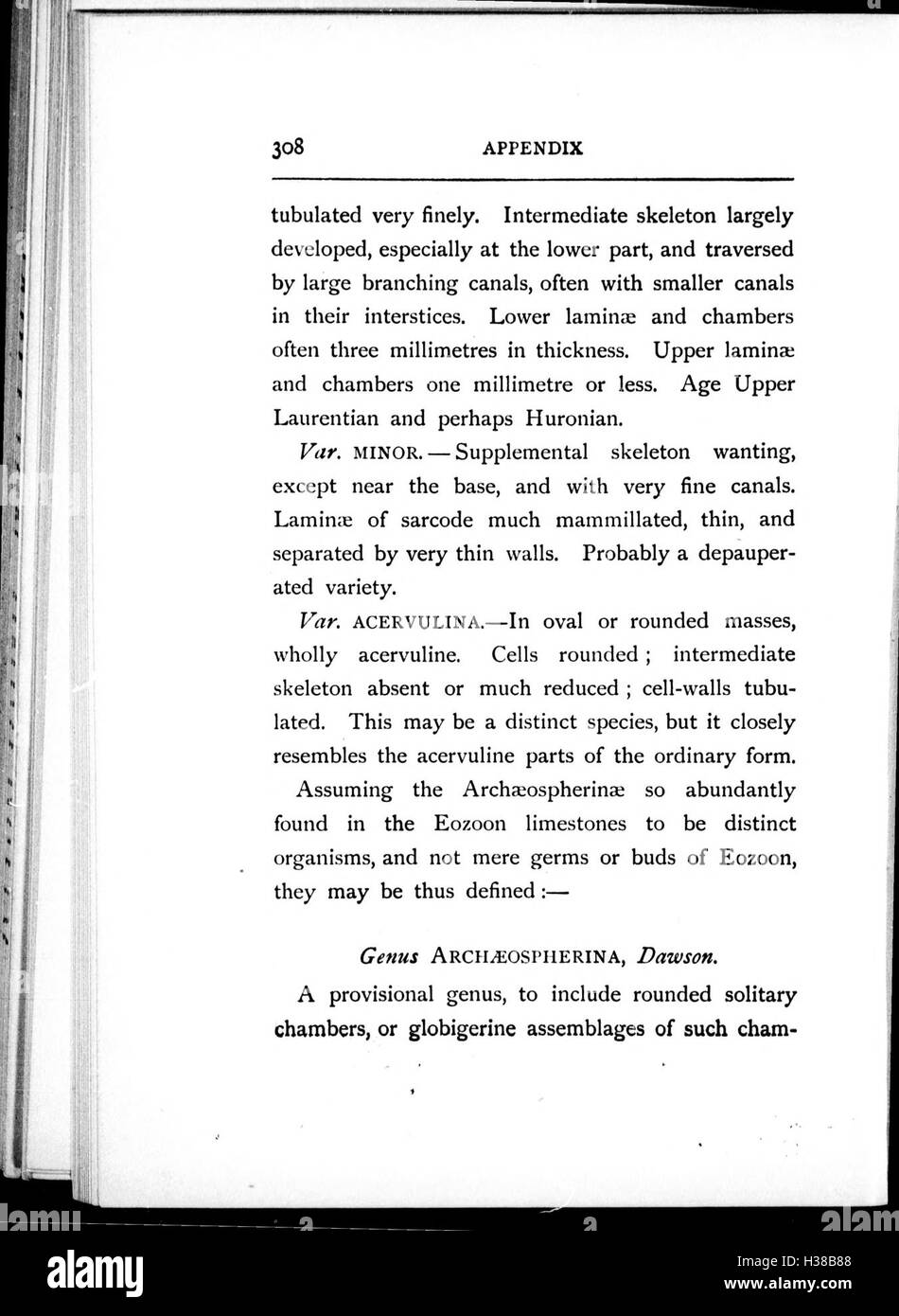 This work explores the remnants of ancient life, examining fossilized ...