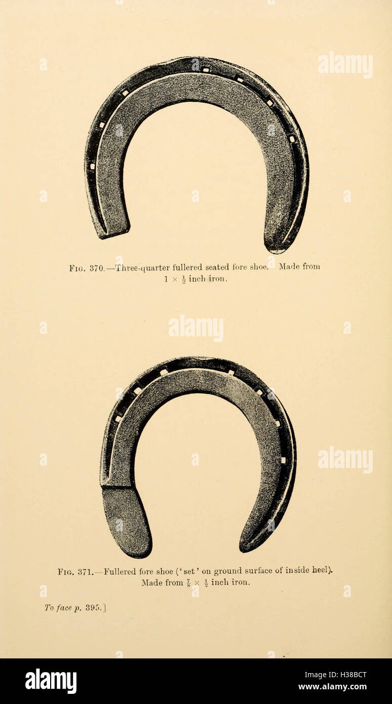 This handbook covers the principles and practices of horse-shoeing ...