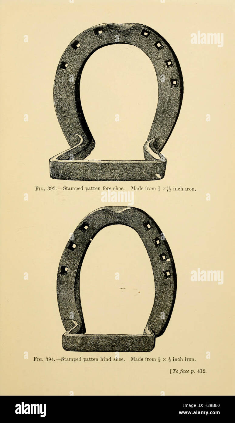 A practical guide to horseshoeing, detailing the techniques and tools ...