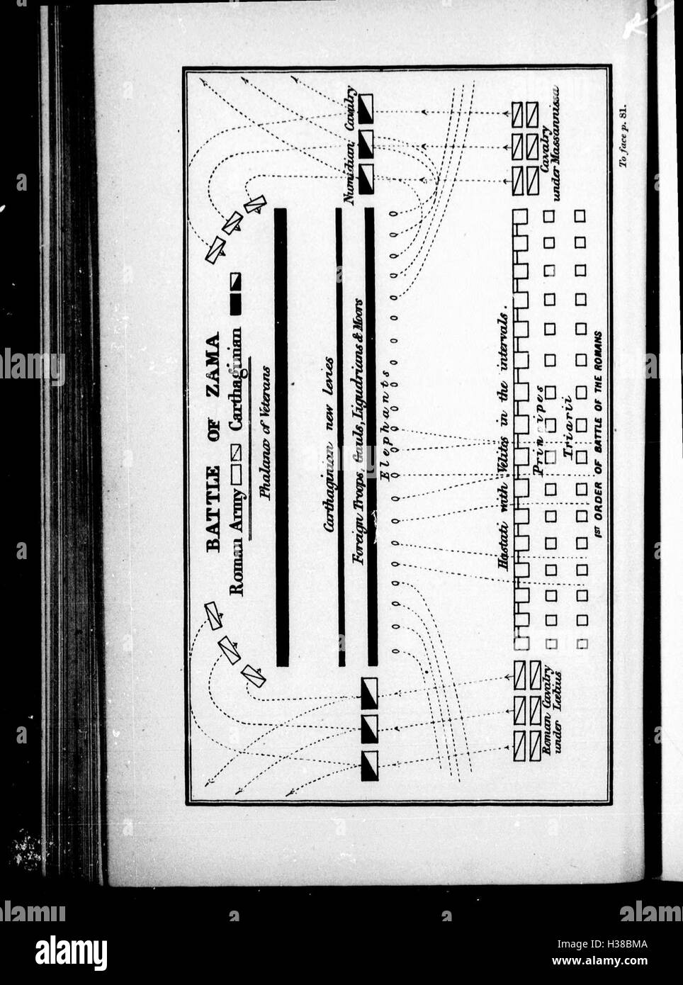 This work provides a historical overview of cavalry forces, tracing ...