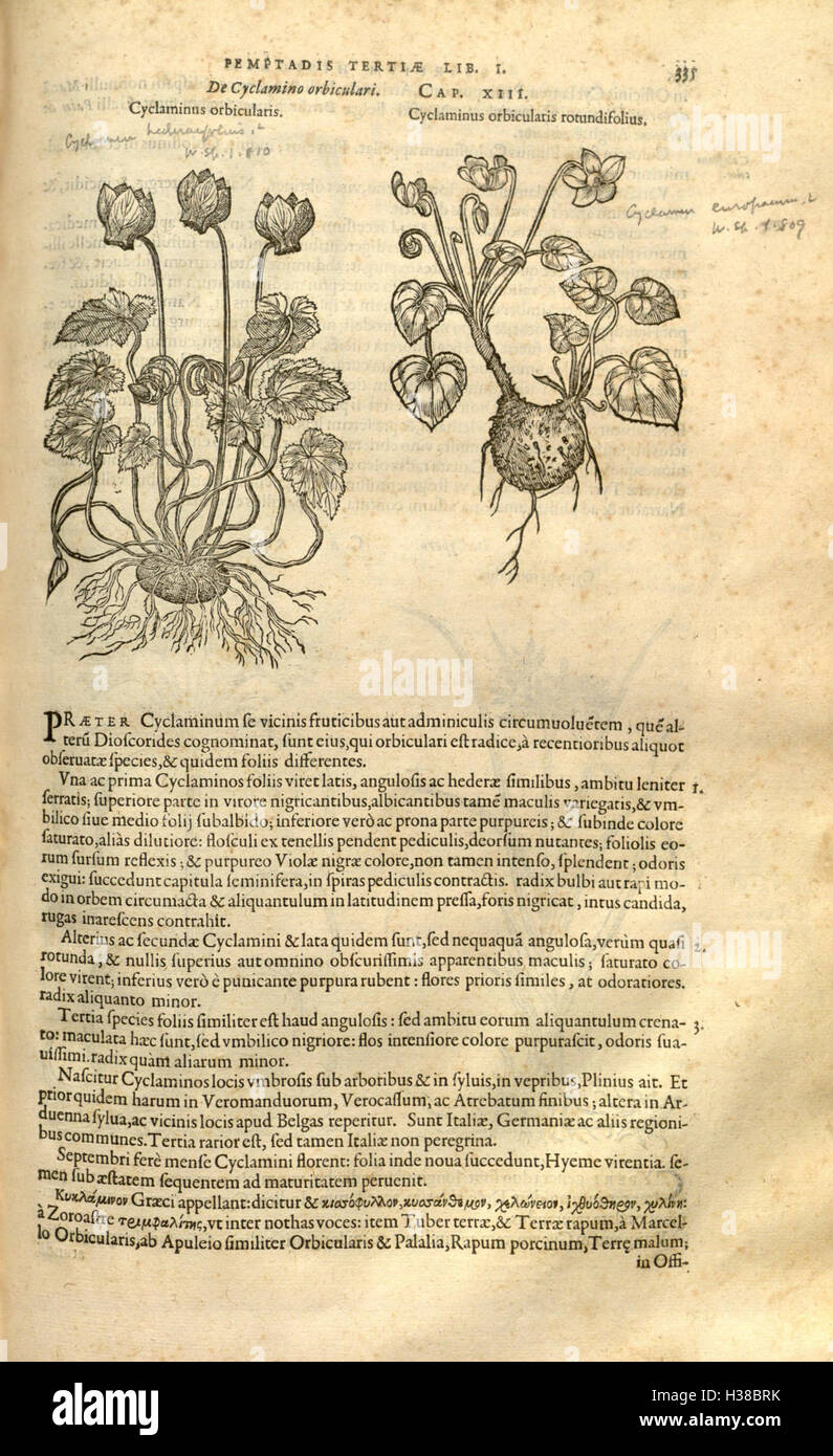 Botanical work covers plant hi-res stock photography and images - Alamy